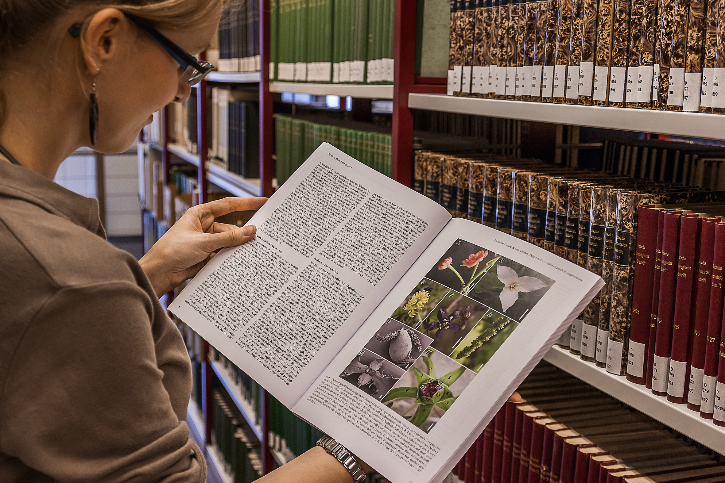 Biology library at the Botanic Garden | Botanischer Garten Berlin