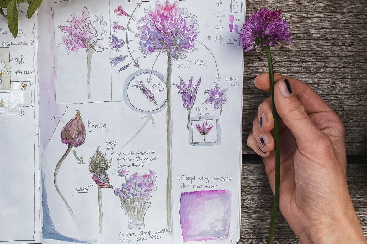 Mit dem Stift zu Naturverbindung und Kreativität | Botanischer Garten ...